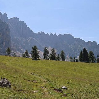 Wandern am Karerpass: Latemarwiesen und Eggentaler Bergkino